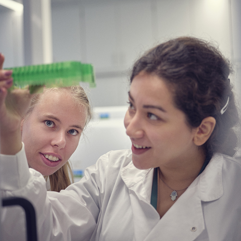 Annual Report | Genmab