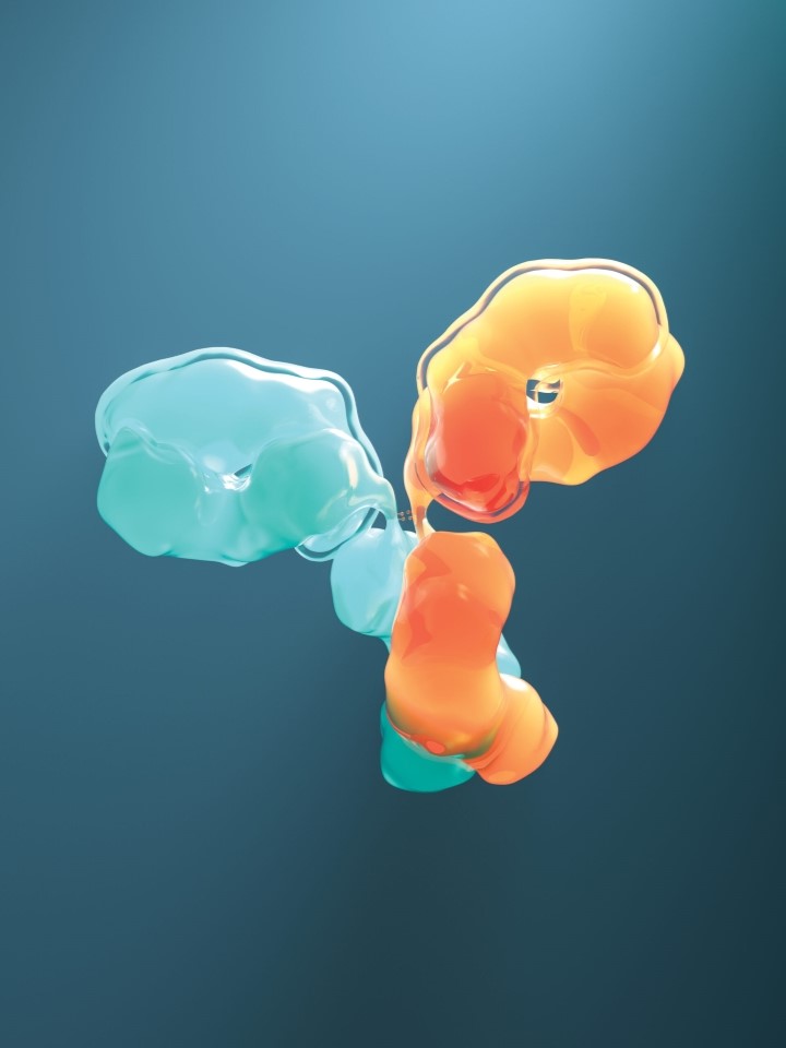 Antibody Science and Innovation