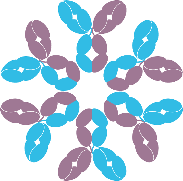 DuoHexaBody®| Genmab