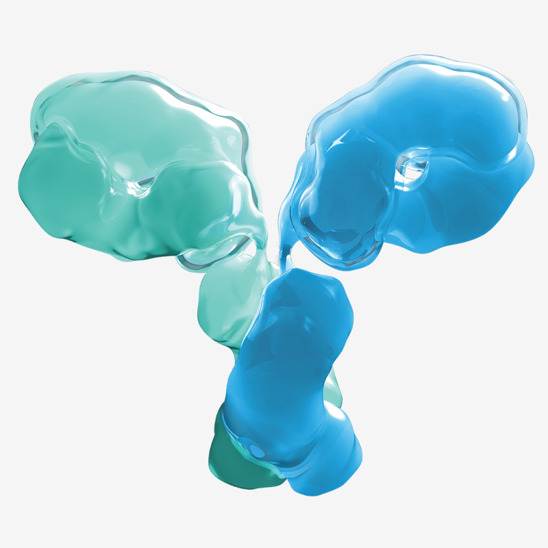 DuoBody® | Biotechnology Platform | Genmab