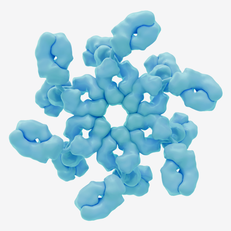 DuoHexaBody®| Genmab