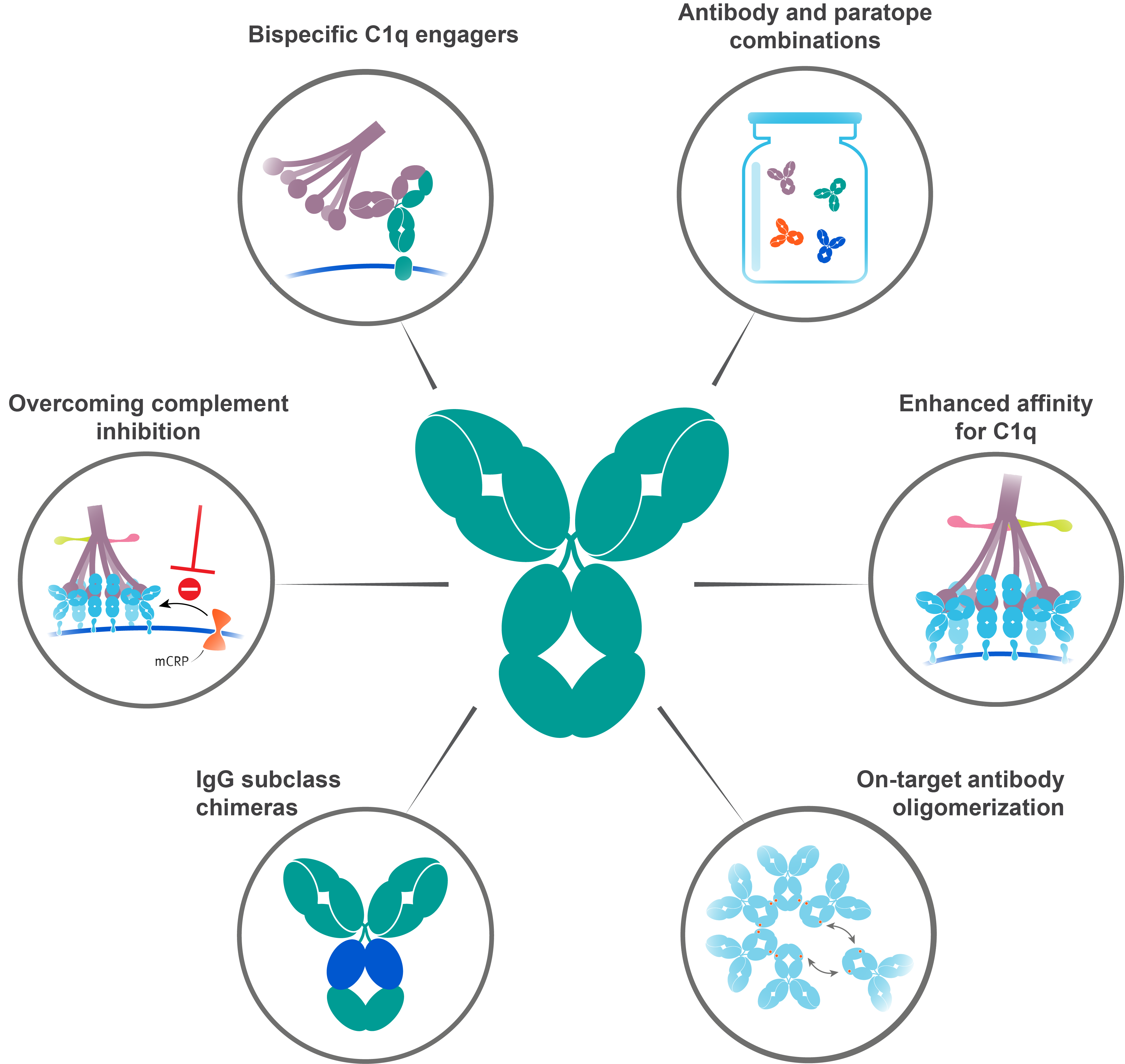 Unlocking the Power of the Immune Complement System to Advance Cancer Therapies