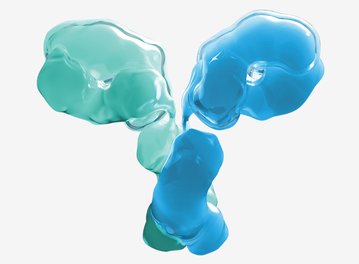 DuoBody® | Biotechnology Platform | Genmab